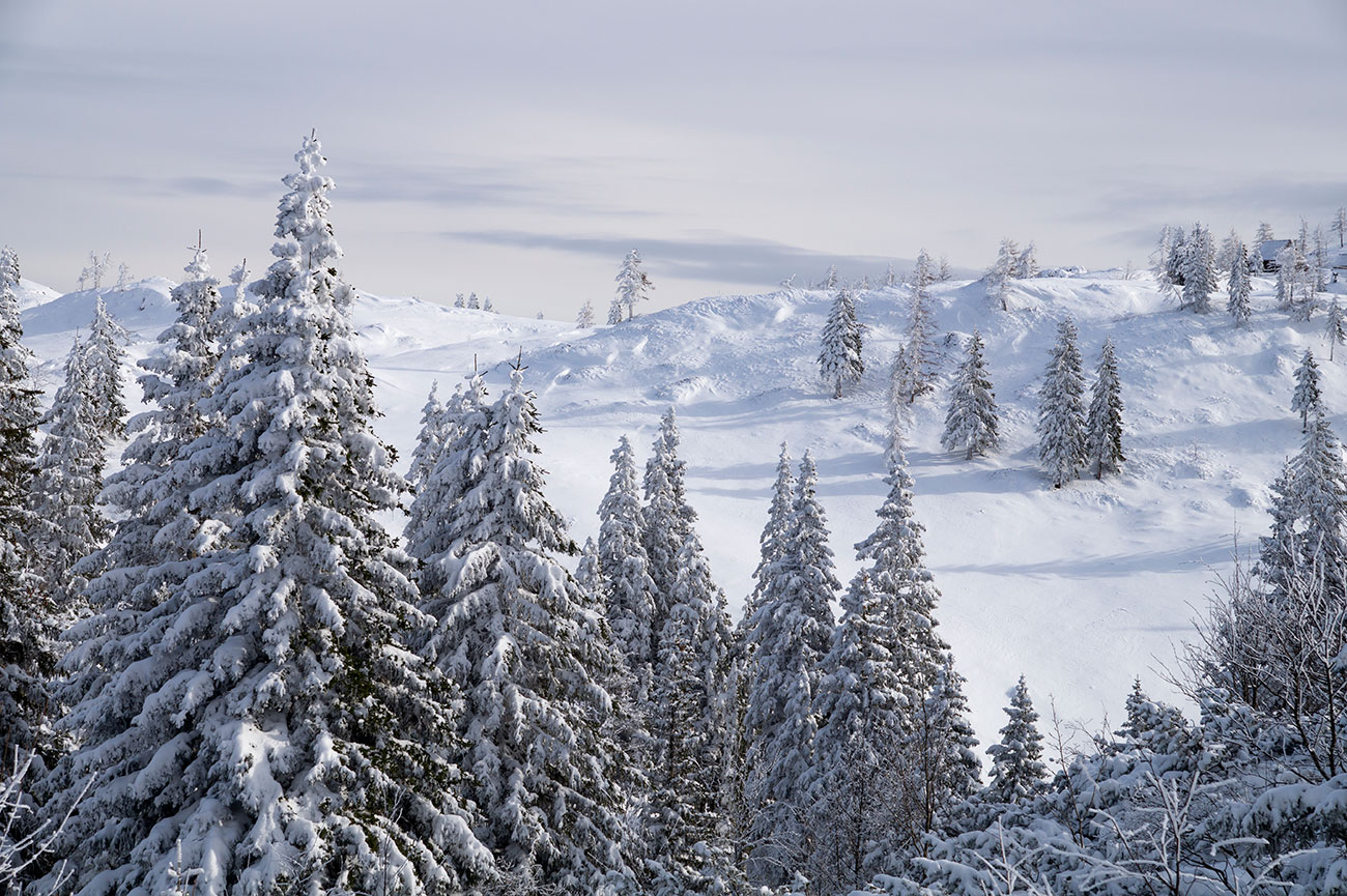 Velika Planina i njezina čarolija - Skitnice.hr