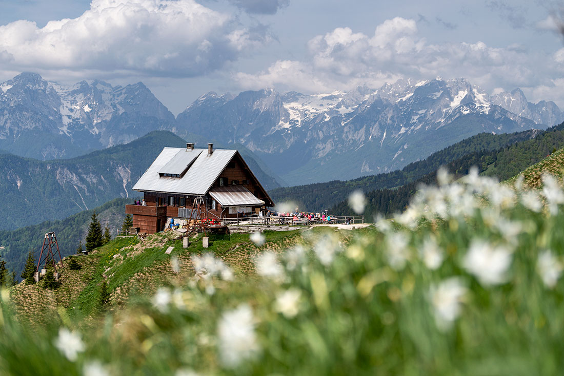 Golica – kraljica narcisa idealna destinacija za predivan obiteljski ...