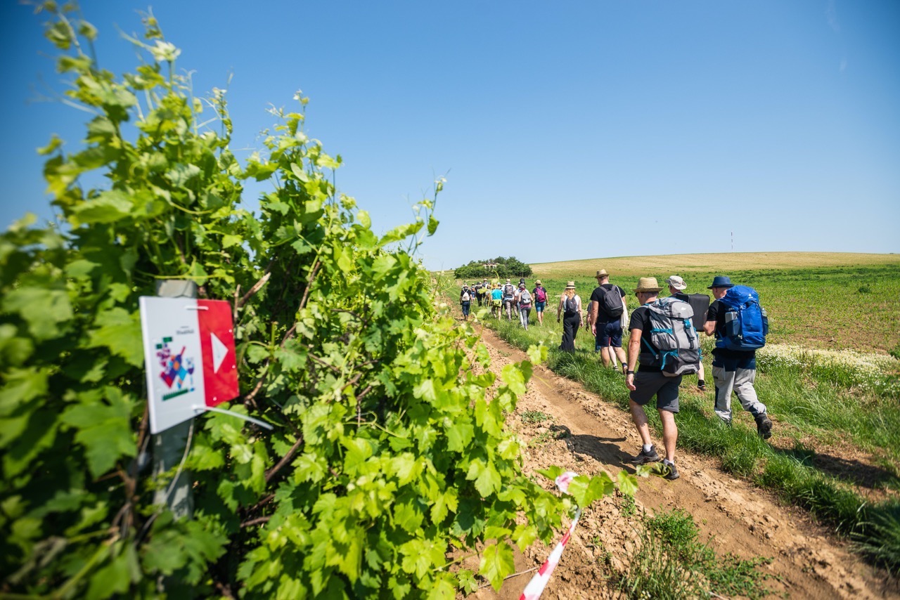 Baranja Wine & Walk