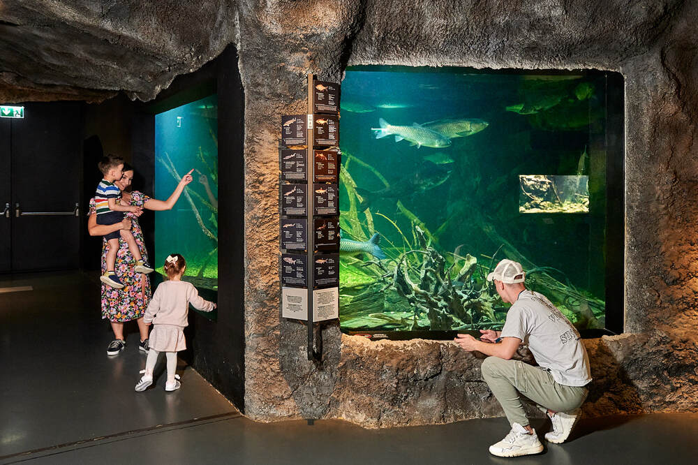 Slatkovodni akvarij Aquatika glavni je razlog zbog kojeg ovog ljeta ...