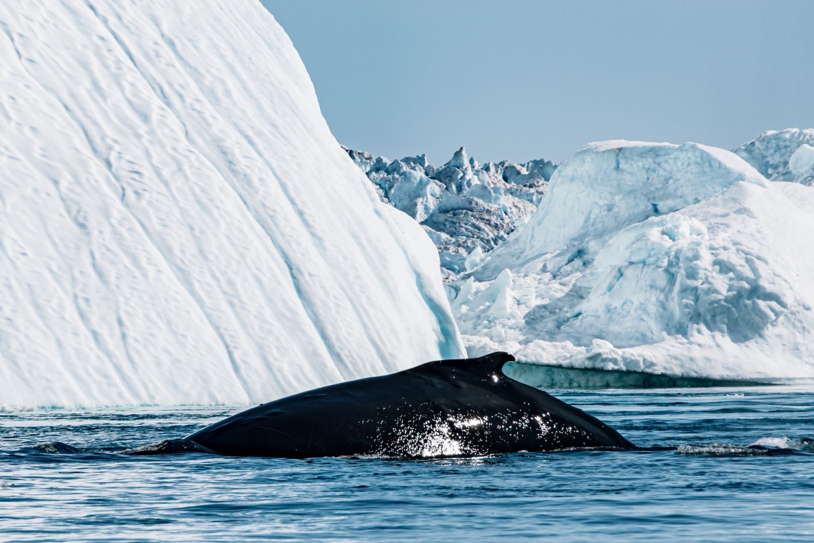 Martin Mitrović o uplovljavanju na Sjeverni pol: U trenutku prvog ...